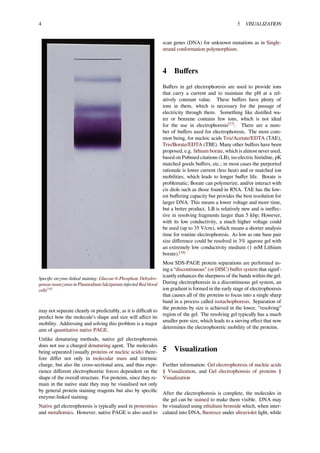 Gel electrophoresis | PDF