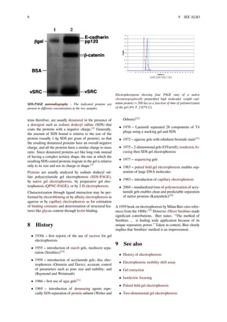 Gel electrophoresis | PDF