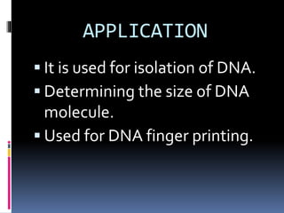 Gel electrophoresis | PPTX