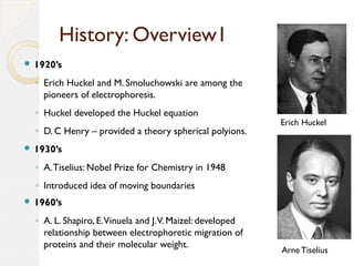 Gel electrophoresis | PPT