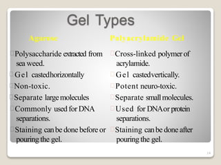 Gel electrophoresis | PPTX