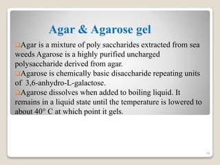 Gel electrophoresis | PPTX