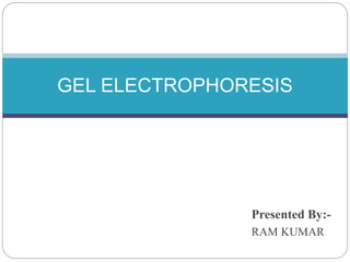 Gel electrophoresis | PPTX