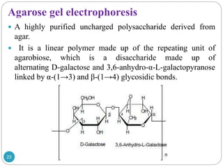 Gel electrophoresis | PPTX