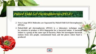 Gel electrophoresis | PPTX