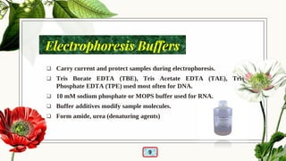 Gel electrophoresis | PPTX