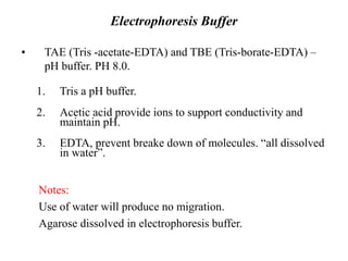 GEL ELECTROPHORESIS.ppt
