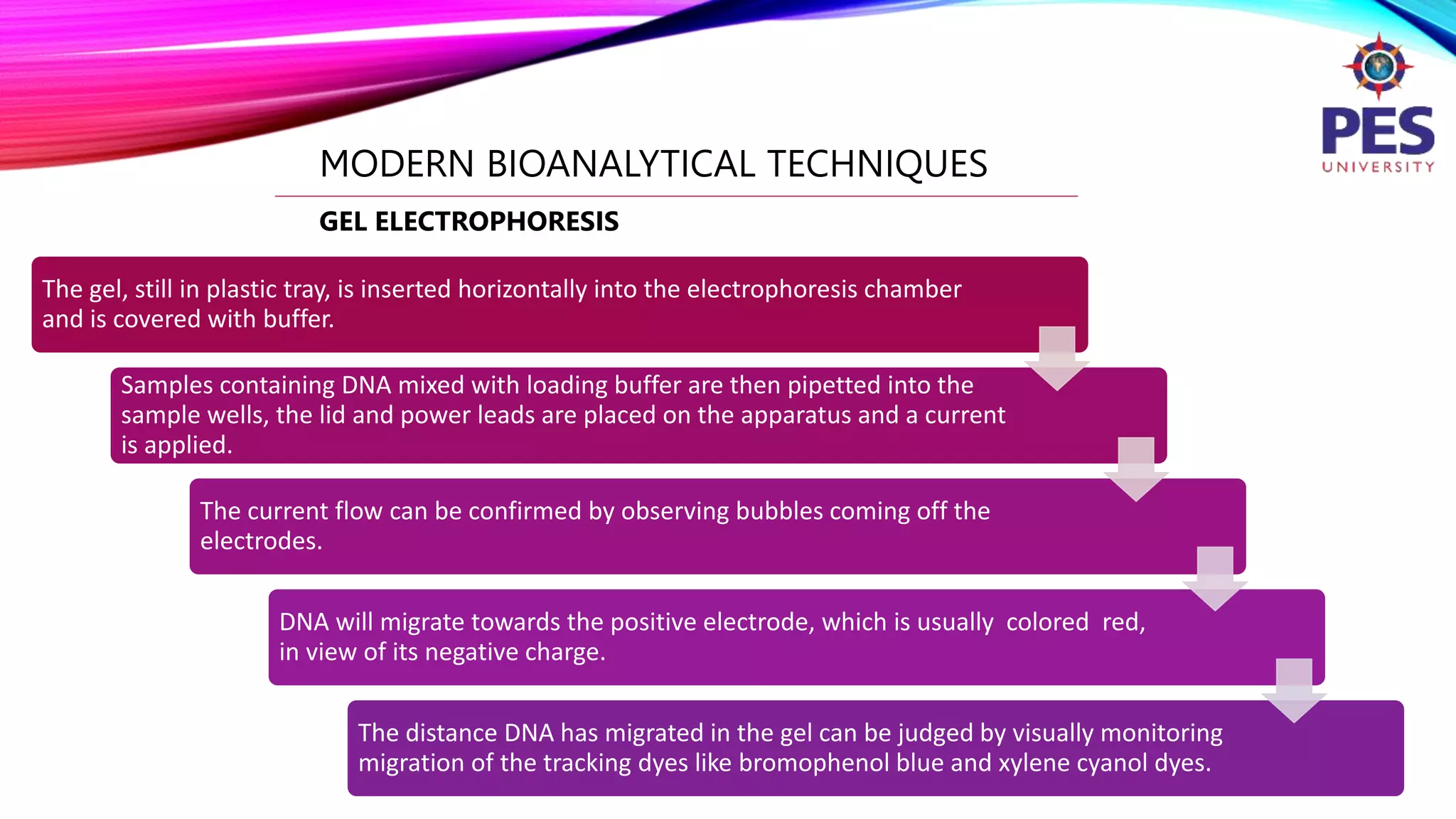 Gel Electrophoresis.pptx