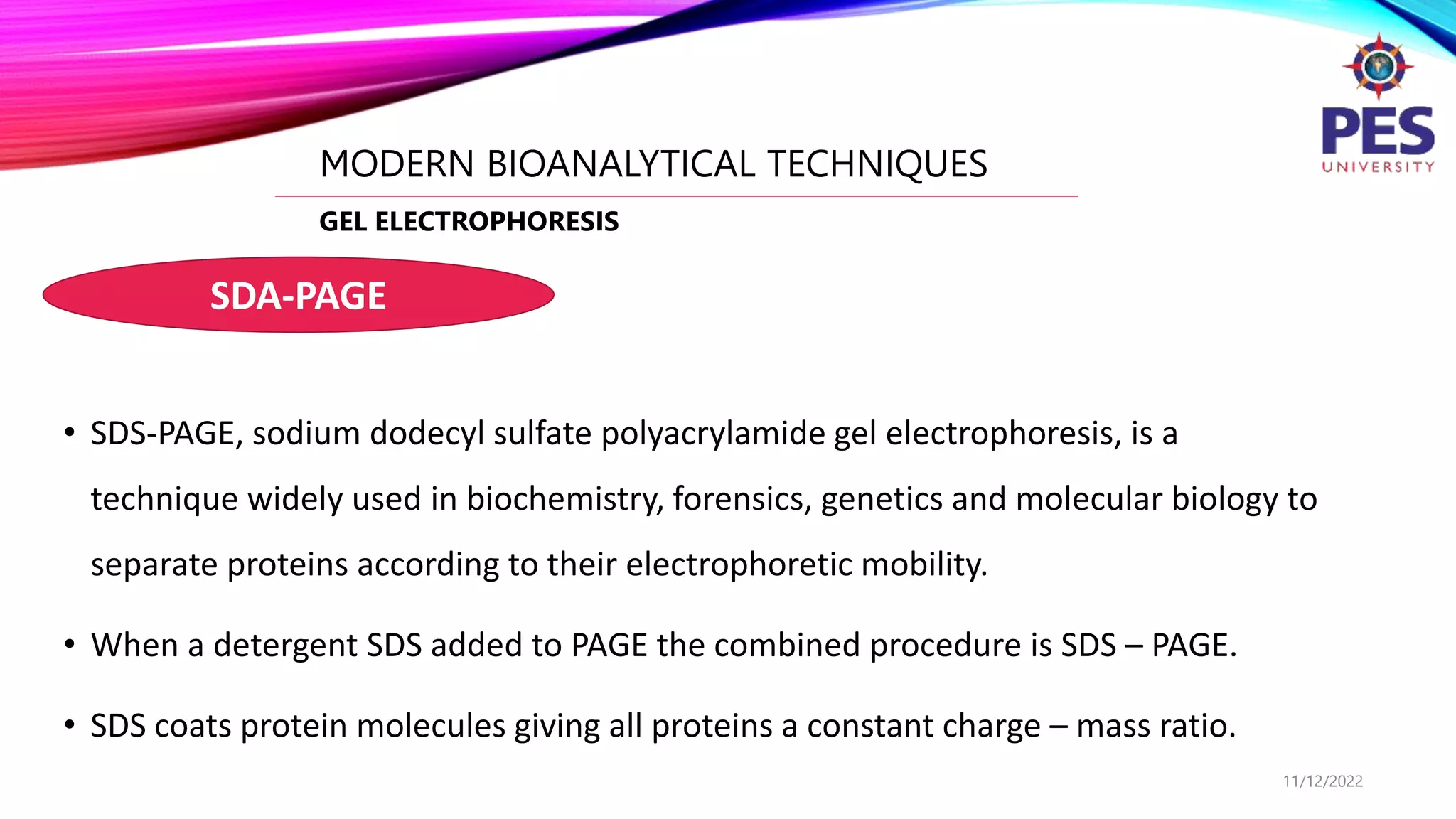 Gel Electrophoresis.pptx
