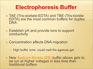 Gel electrophoresis.pptx