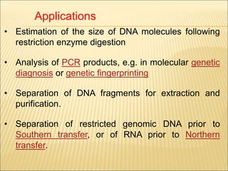 Gel electrophoresis.pptx