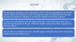 GEL ELECTROPHORESIS.pptx