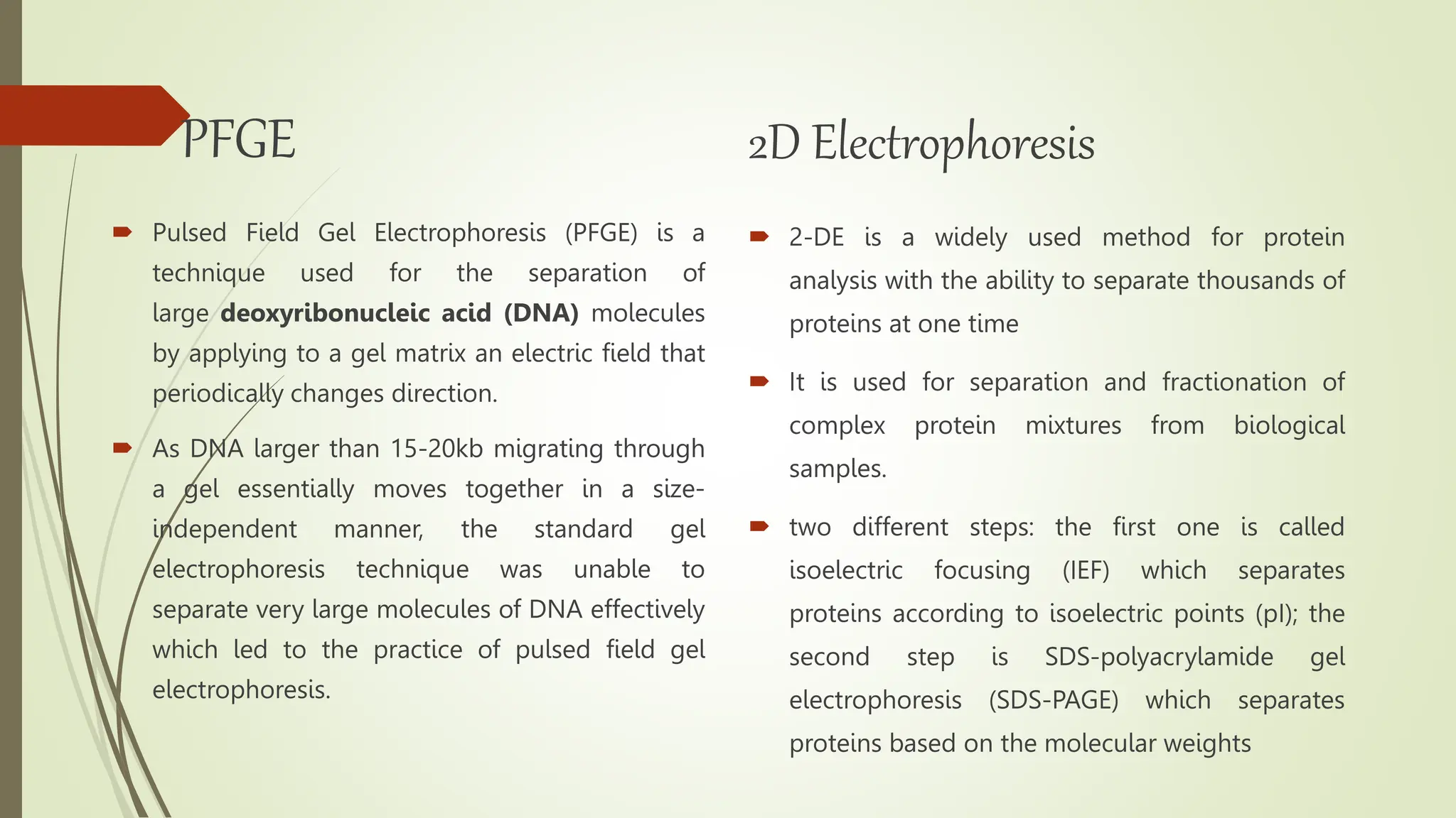 Gel electrophoresis.pptx