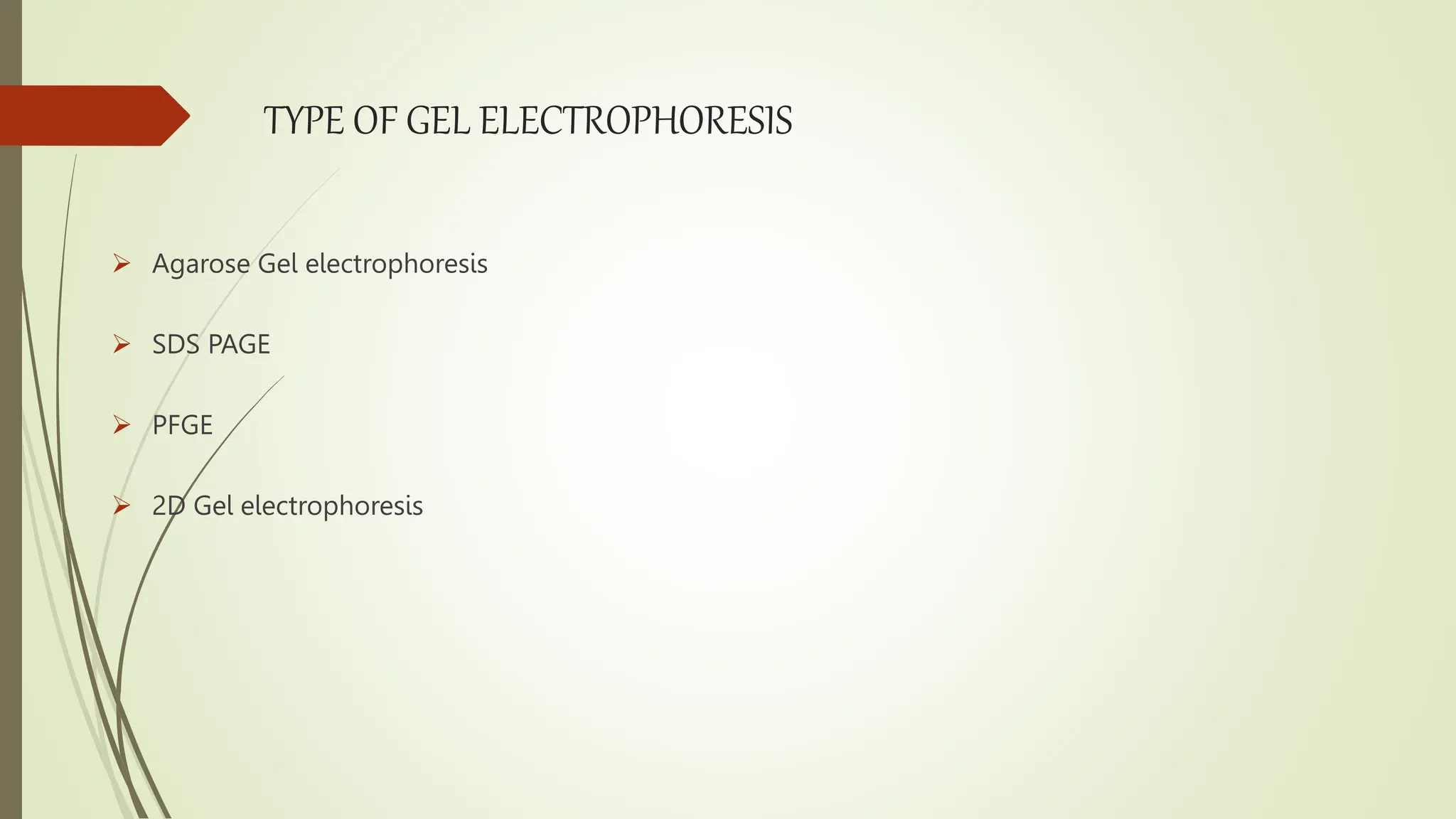 Gel electrophoresis.pptx