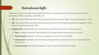 Gel electrophoresis.pptx