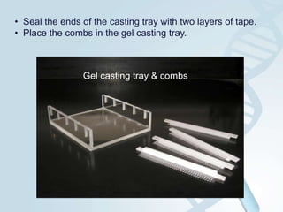 Gel Electrophoresis technology science a | PPT