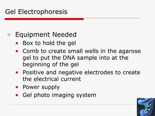 Gel Electrophoresis ...................... | PPT