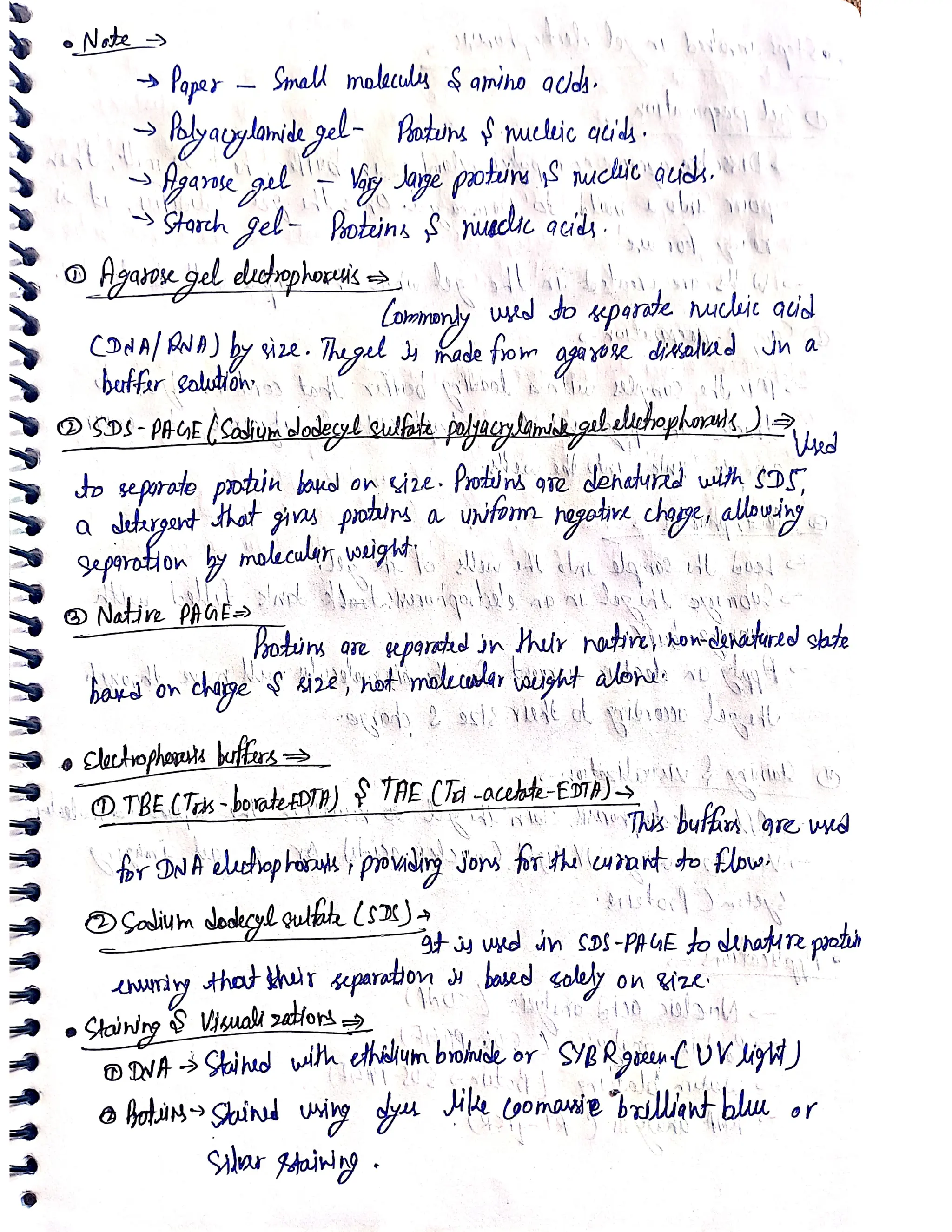Gel Electrophoresis Short Hand Written Notes.pdf