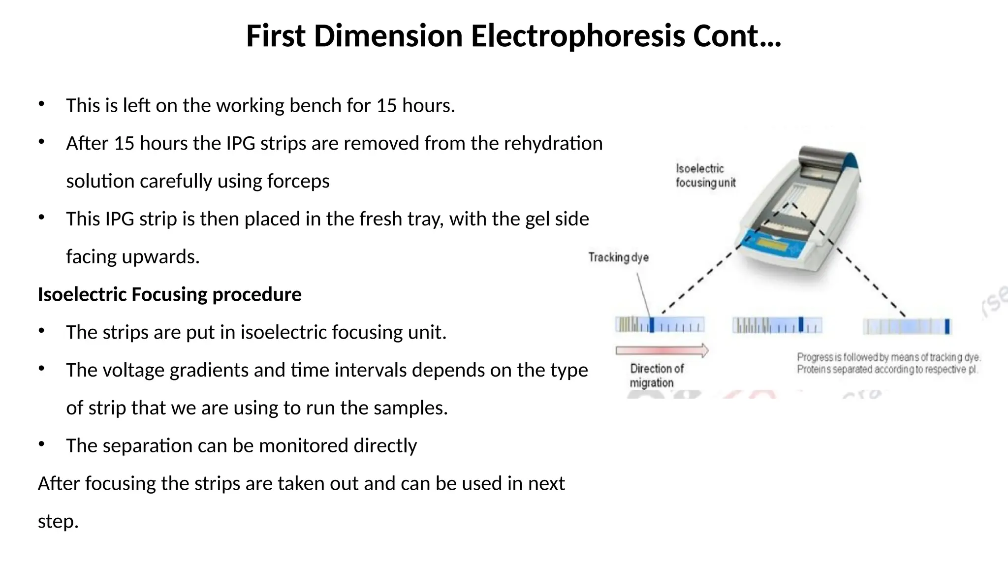 GEL ELECTROPHORESIS methods @D gel.pptx