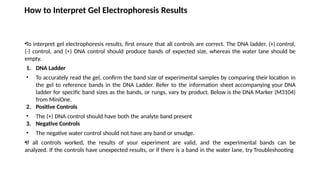 Gel Electrophoresis by Dr lwasa- intro.pptx
