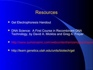 Gel electrophoresis 08 | PPT