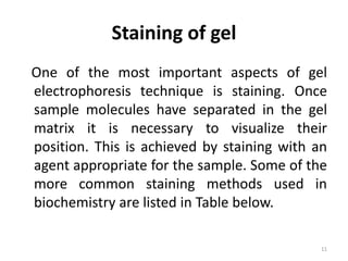 Gel Electrophoresis | PPTX