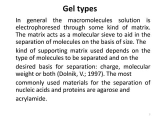 Gel Electrophoresis | PPTX