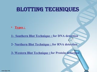 Gel Electrophoresis and Blotting Techniques.ppt