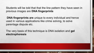 Gel electrophoresis by Babita Rana | PPT