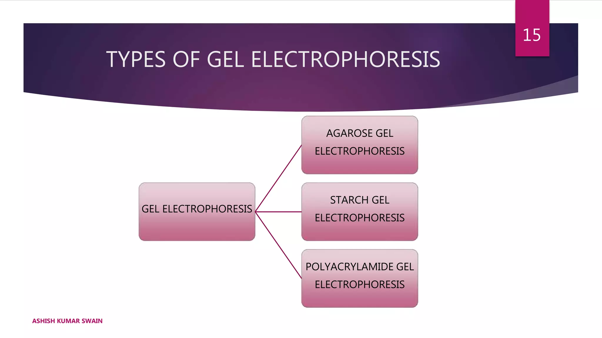 Gel electrophoresis Techniques | PPTX