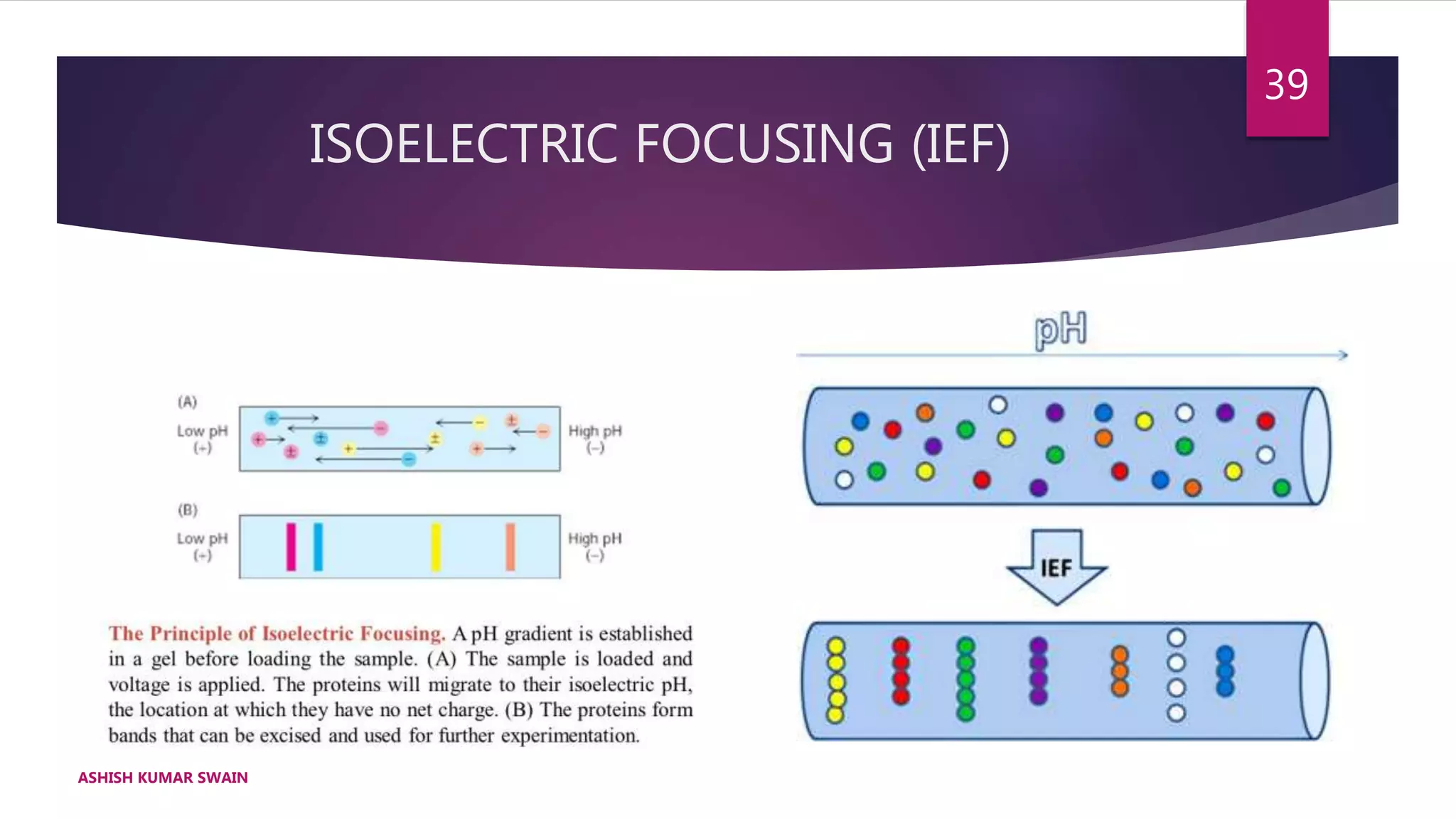 Gel electrophoresis Techniques | PPTX