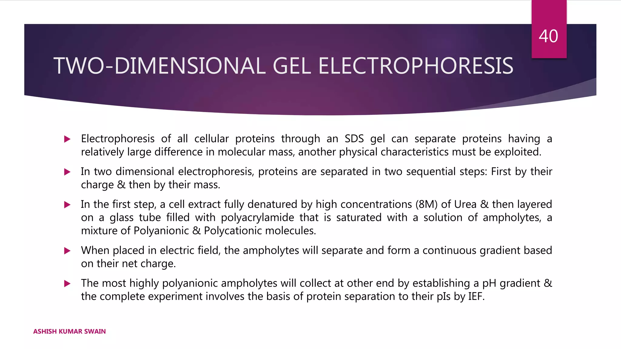 Gel electrophoresis Techniques | PPTX