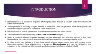 Gel electrophoresis Techniques | PPTX