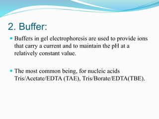 gelelectrophoresisfin-170426110518.pdf