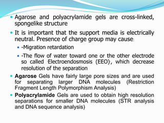 gelelectrophoresisfin-170426110518.pdf