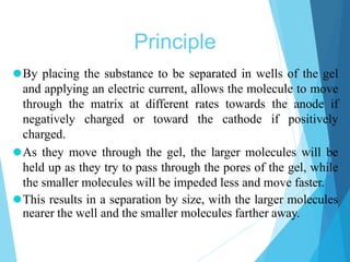 Gel electrophoresis himanshu | PPTX