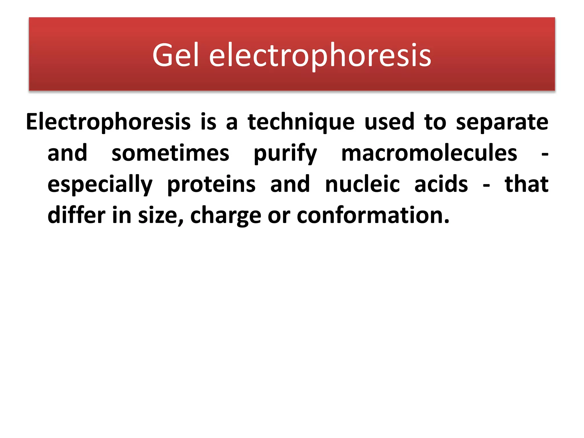Gel electrophoresis native, denaturing&reducing | PPTX