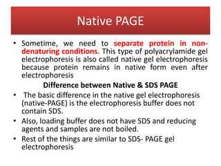 Gel electrophoresis native, denaturing&reducing | PPTX