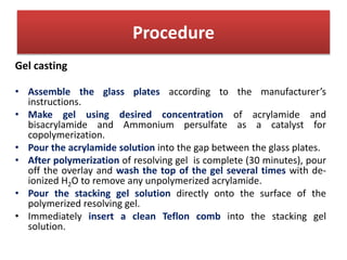Gel electrophoresis native, denaturing&reducing | PPTX