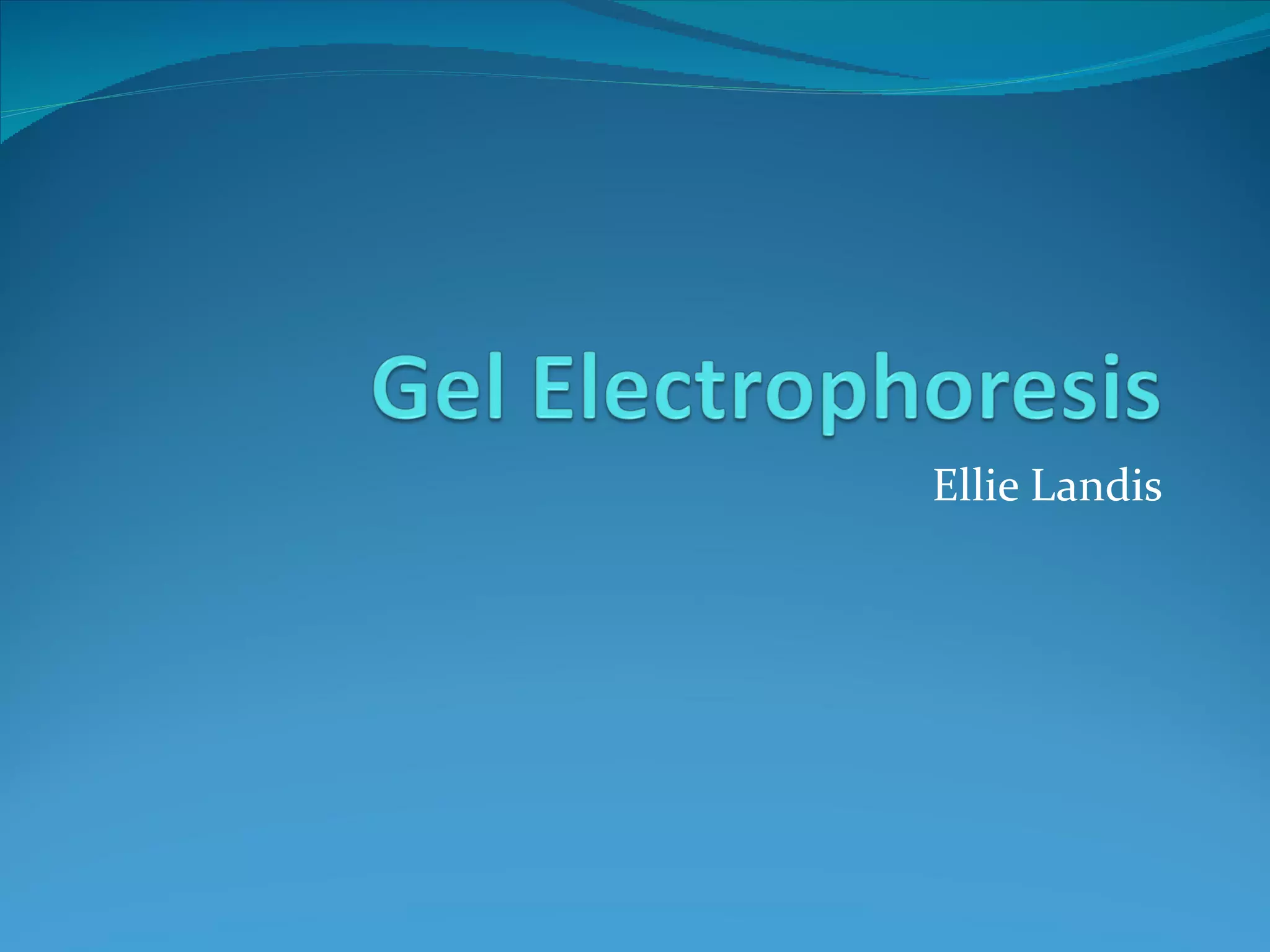 Gel electrophoresis power point | PPT