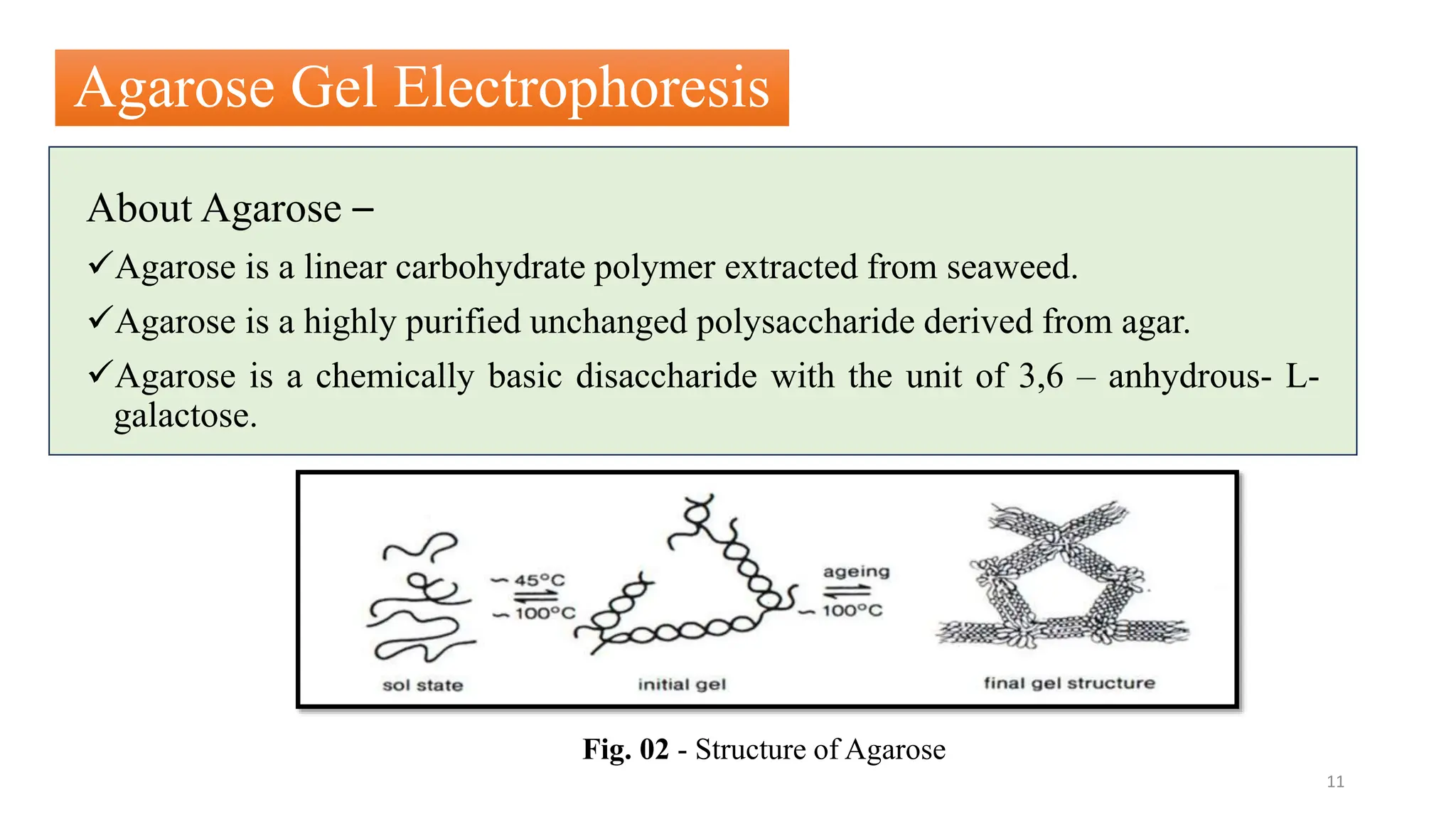 Gel Electrophoresis, ITS FACTOR AFFECTING, ITS TYPES,NORMAL METHODOLOGY ...