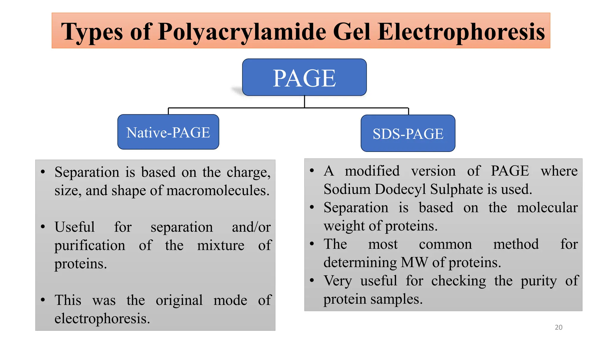 Gel Electrophoresis, ITS FACTOR AFFECTING, ITS TYPES,NORMAL METHODOLOGY ...
