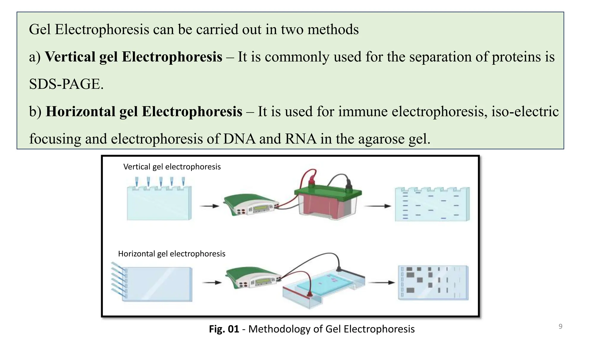 Gel Electrophoresis, ITS FACTOR AFFECTING, ITS TYPES,NORMAL METHODOLOGY ...