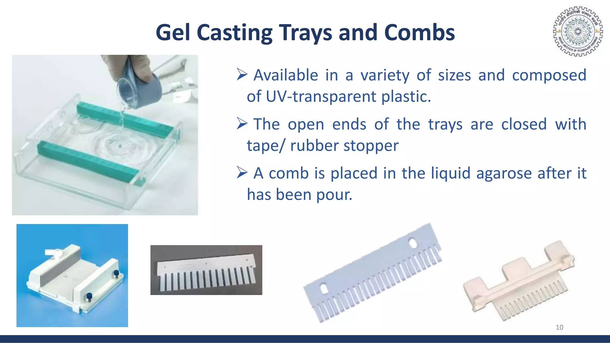 Gel electrophoresis practical | PPTX