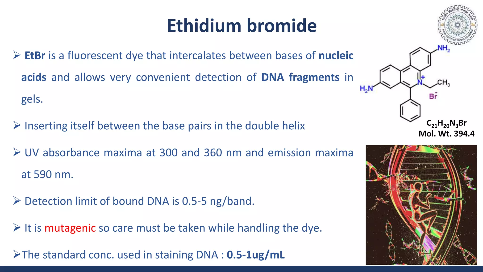 Gel electrophoresis practical | PPTX