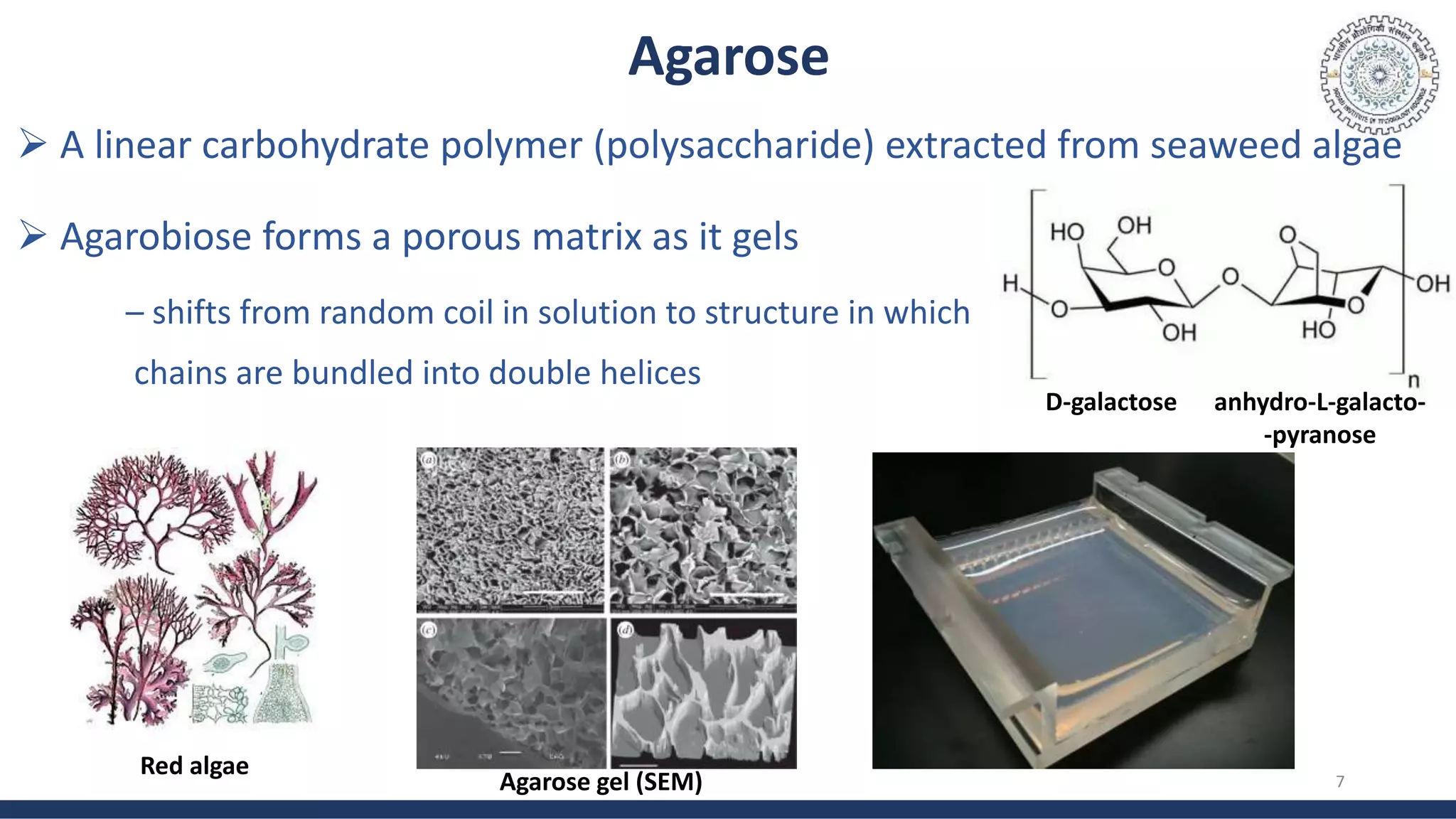 Gel electrophoresis practical | PPTX