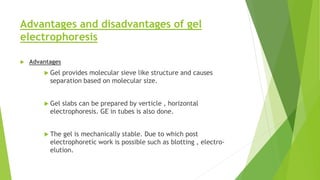 Gel electrophoresis presentation | PPTX
