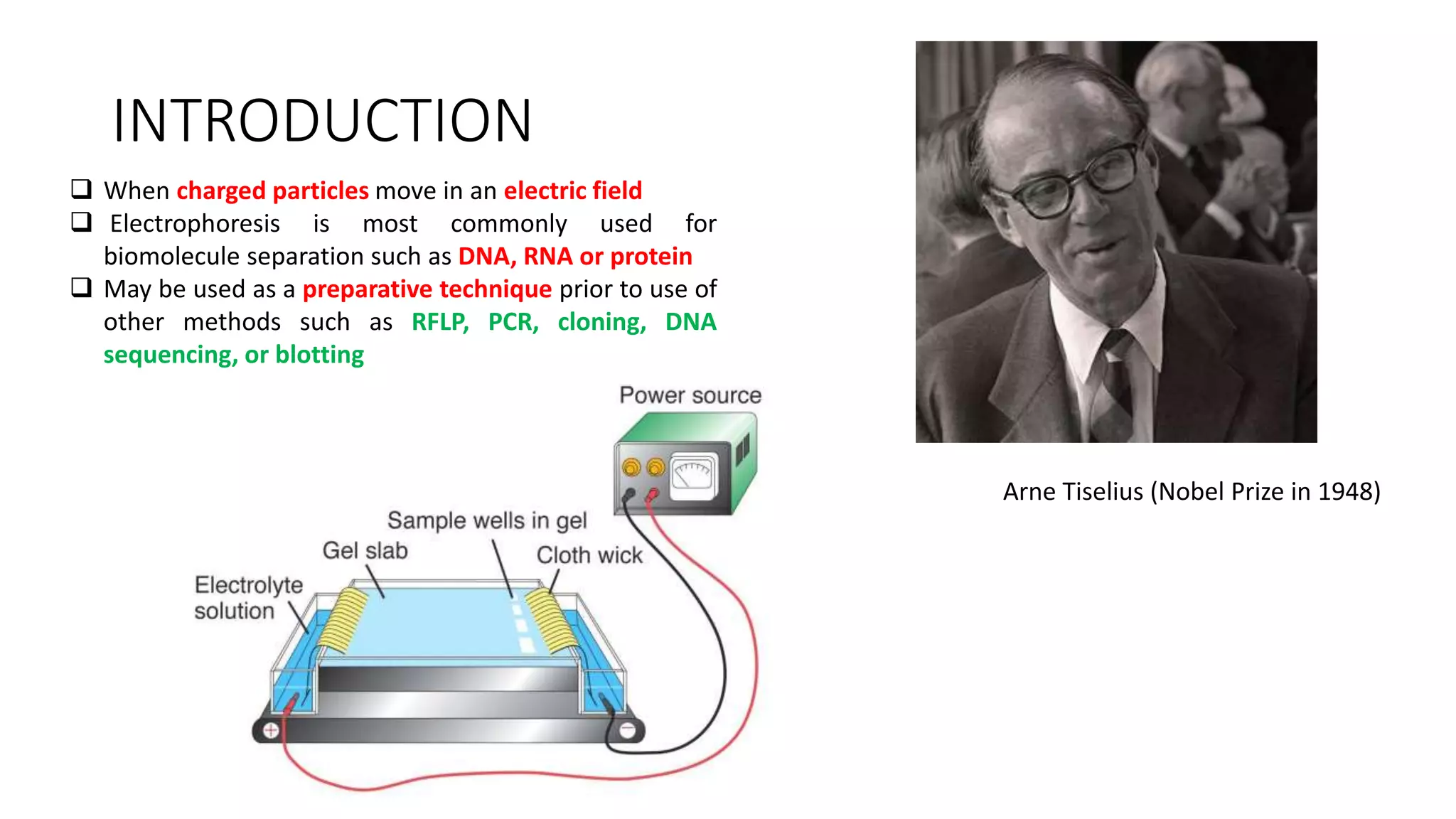 Gel Electrophoresis (suchita rawats conflicted copy 2023-04-28) (1).pptx