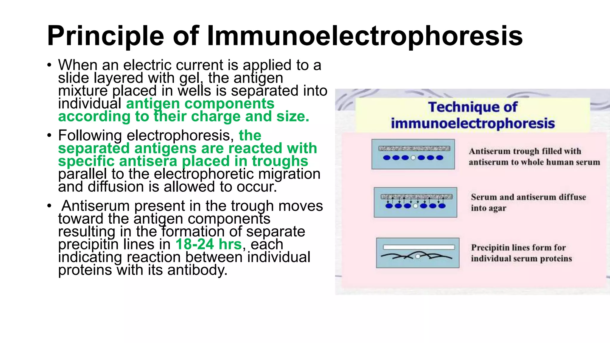 Gel Electrophoresis (suchita rawats conflicted copy 2023-04-28) (1).pptx
