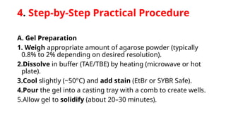 Gel Electrophorosis, A Practical Lecture.pptx
